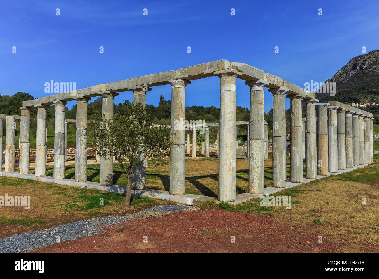 ruins of palaistra in ancient Messena, Peloponnese Stock Photo - Alamy
