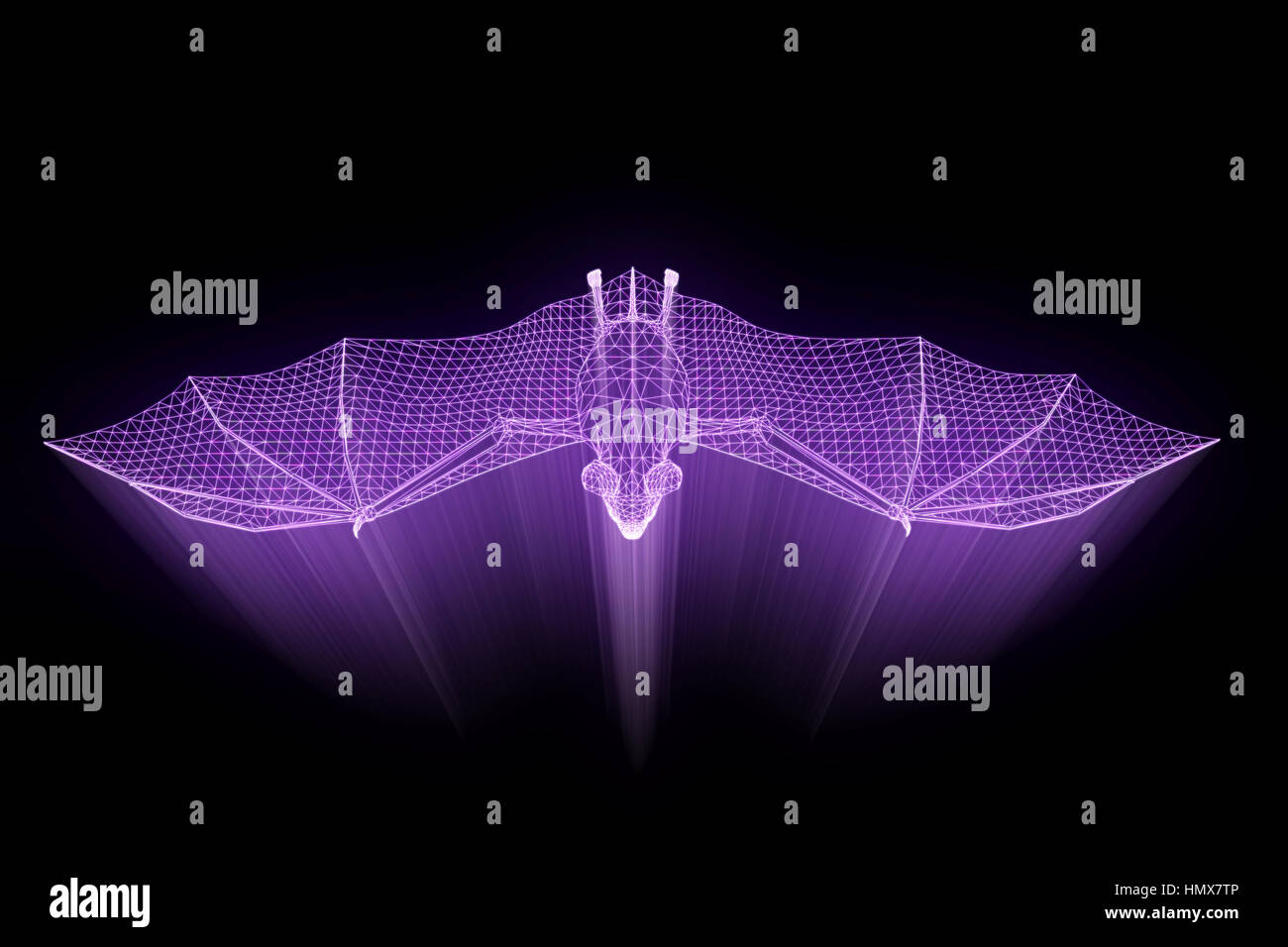 Giant Bat in Hologram Wireframe Style. Nice 3D Rendering Stock Photo ...