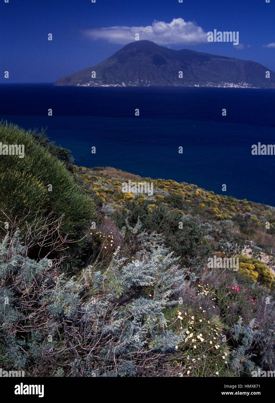 Mediterranean scrubland with the Salina island in the background ...