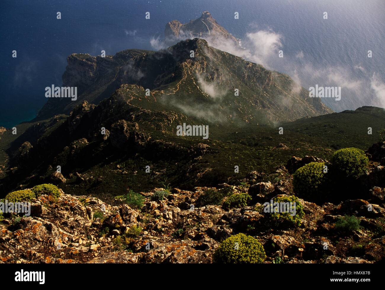 Mediterranean scrubland, Marettimo Island, Aegadian Islands, Sicily ...