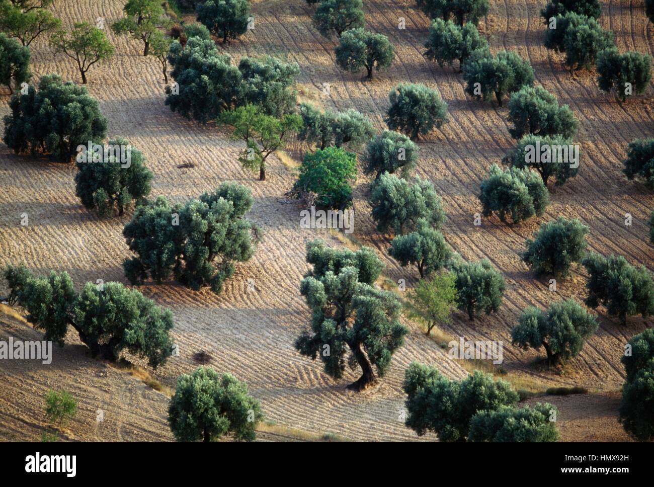 Calaceite Spain High Resolution Stock Photography and Images - Alamy