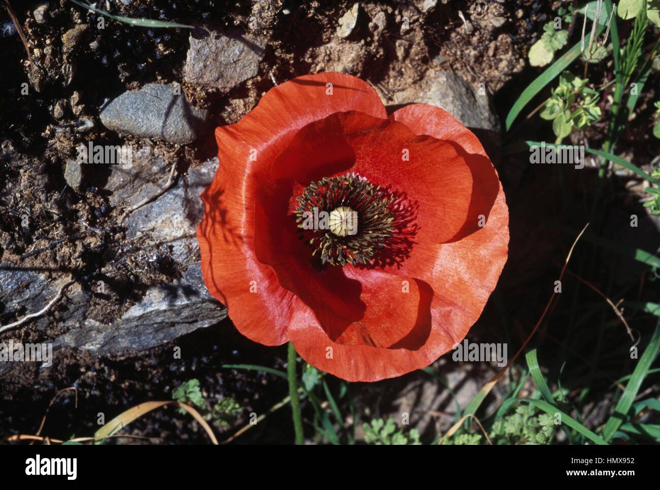 Kantanos crete hi-res stock photography and images - Alamy