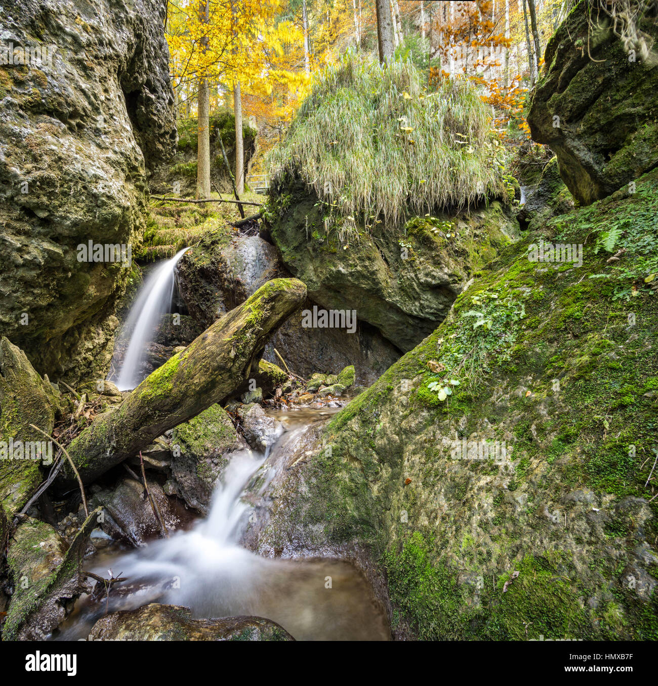 Little waterfall flows through a fairy tale forest Stock Photo - Alamy