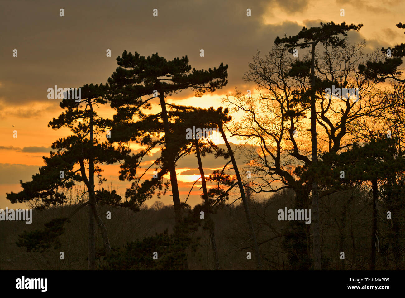 Mill hill village london hi-res stock photography and images - Alamy