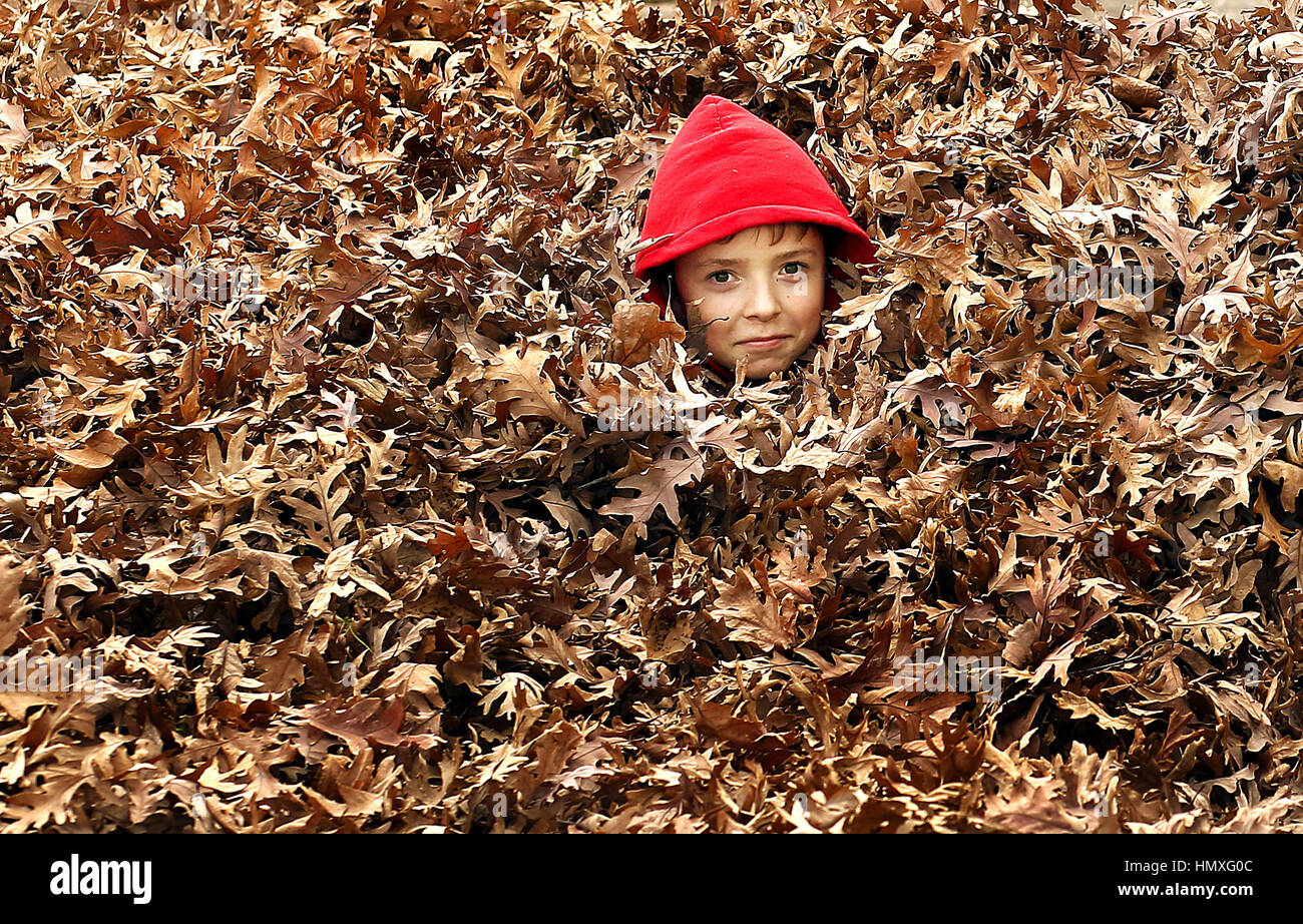 November 16, 2016 - Moline, Iowa, U.S. - Seton School 8th-grader ...