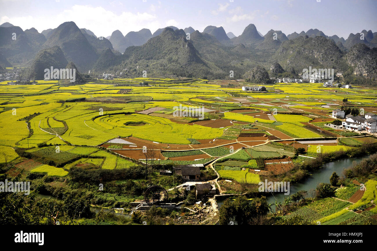 Xingyi, China. 6th Feb, 2017. Aerial photography of rapeseed flowers in ...