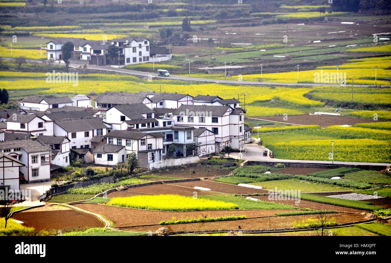 Xingyi, China. 6th Feb, 2017. Aerial photography of rapeseed flowers in ...