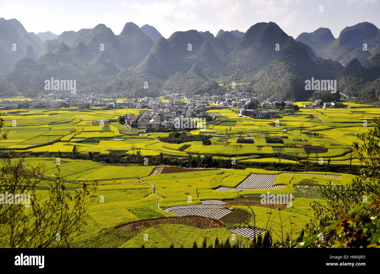 Xingyi, China. 6th Feb, 2017. Aerial photography of rapeseed flowers in ...