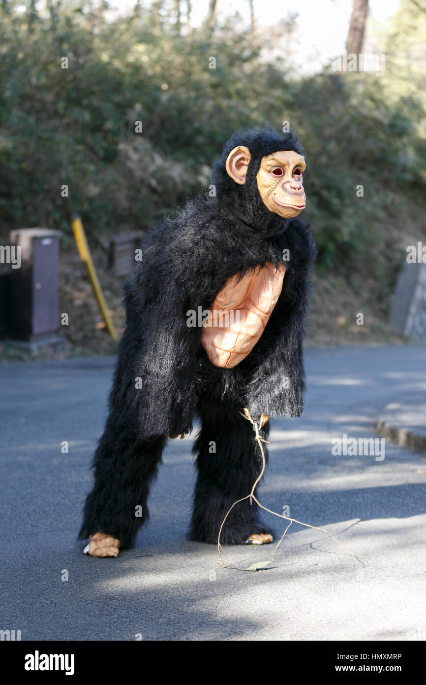 Tokyo, Japan. 7th Feb, 2017. A zookeeper wearing a chimpanzee costume ...