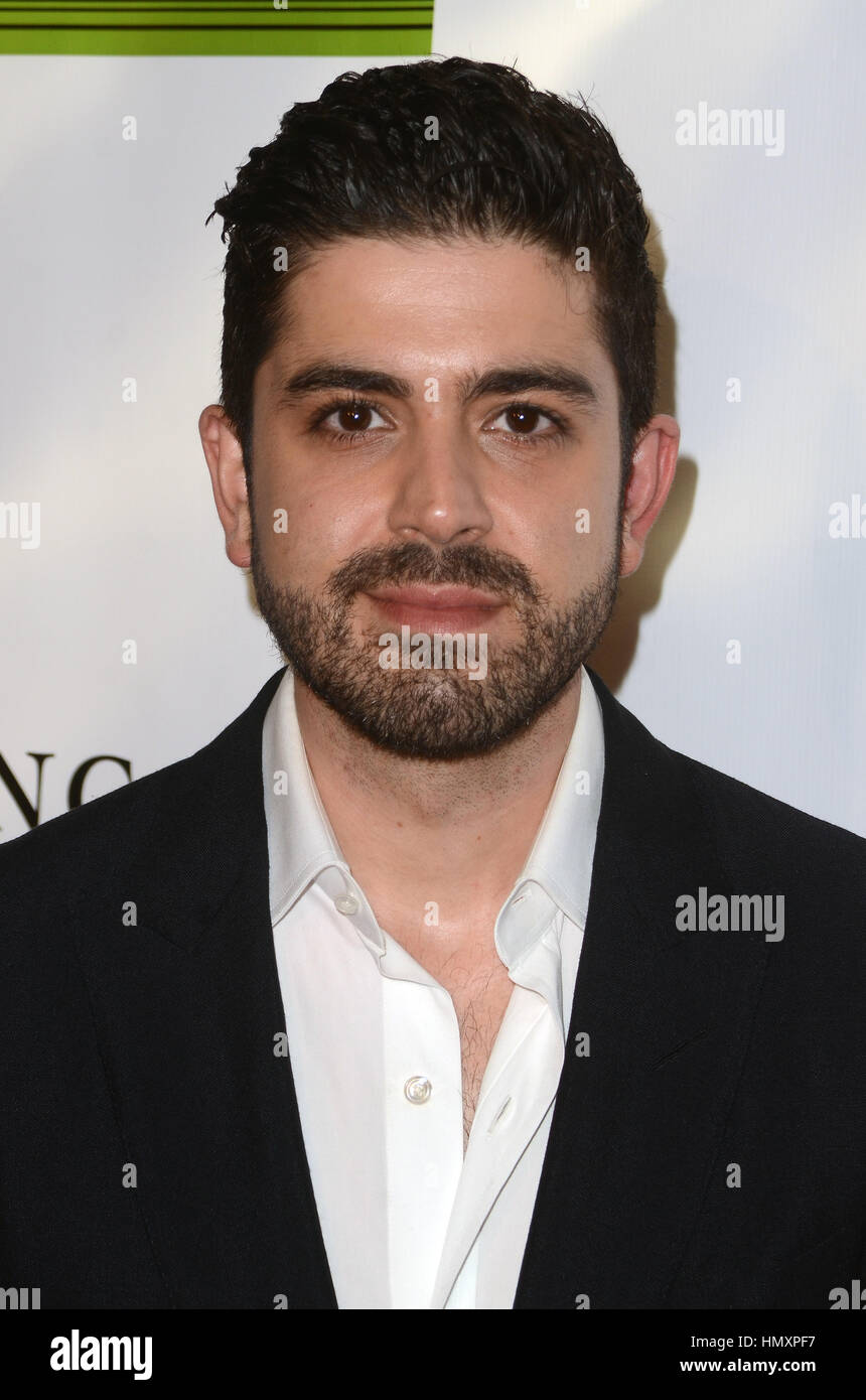 HOLLYWOOD, CA - FEBRUARY 06: Beejan Land at the premiere of Sony ...