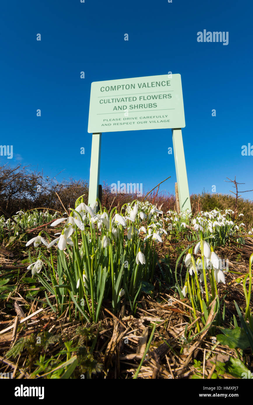 Annual display hi-res stock photography and images - Alamy