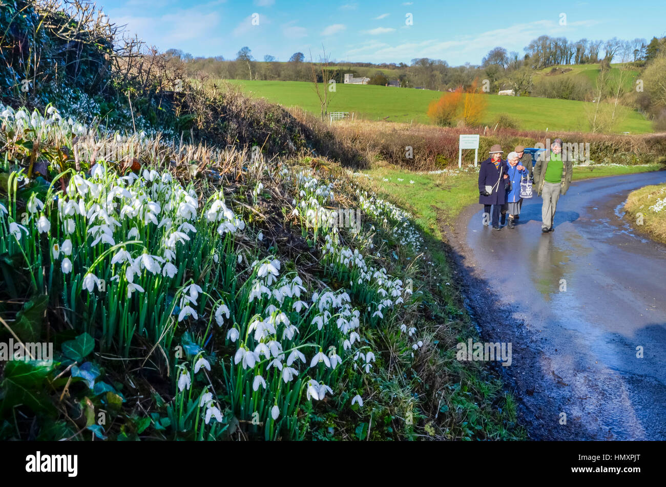 Compton Valence, Dorset, UK. 7th Feb, 2017. UK Weather. Visitors ...