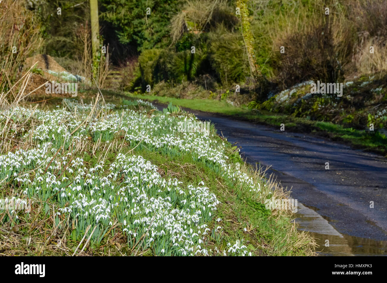 Compton valence hi-res stock photography and images - Alamy