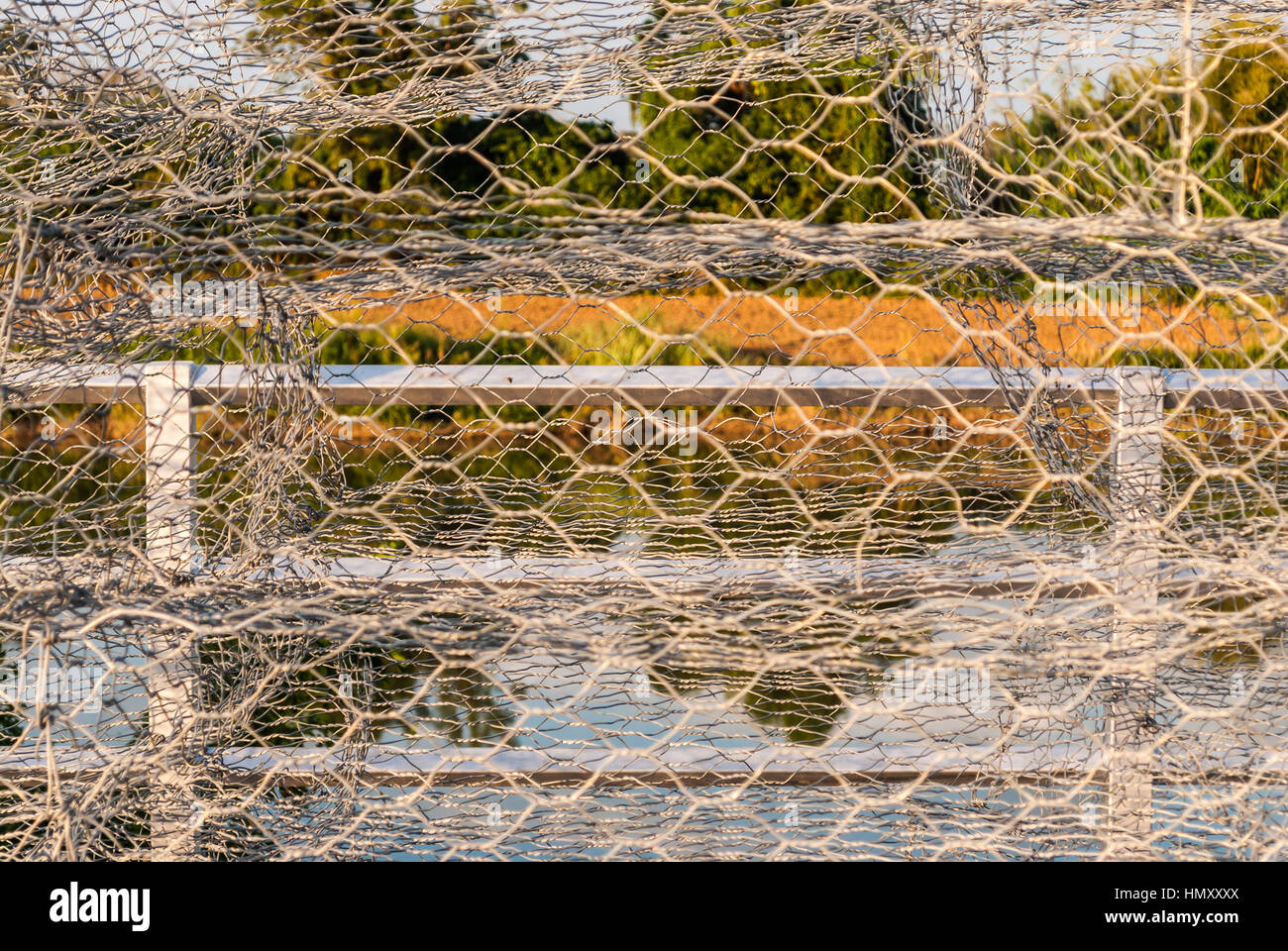 Metal wire mesh hi-res stock photography and images - Alamy