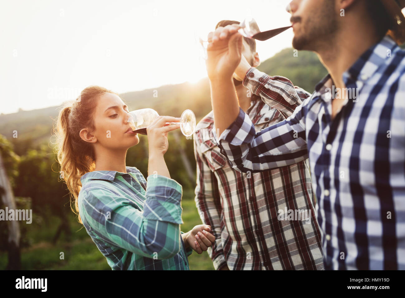 Happy people tasting wine in vineyard Stock Photo - Alamy