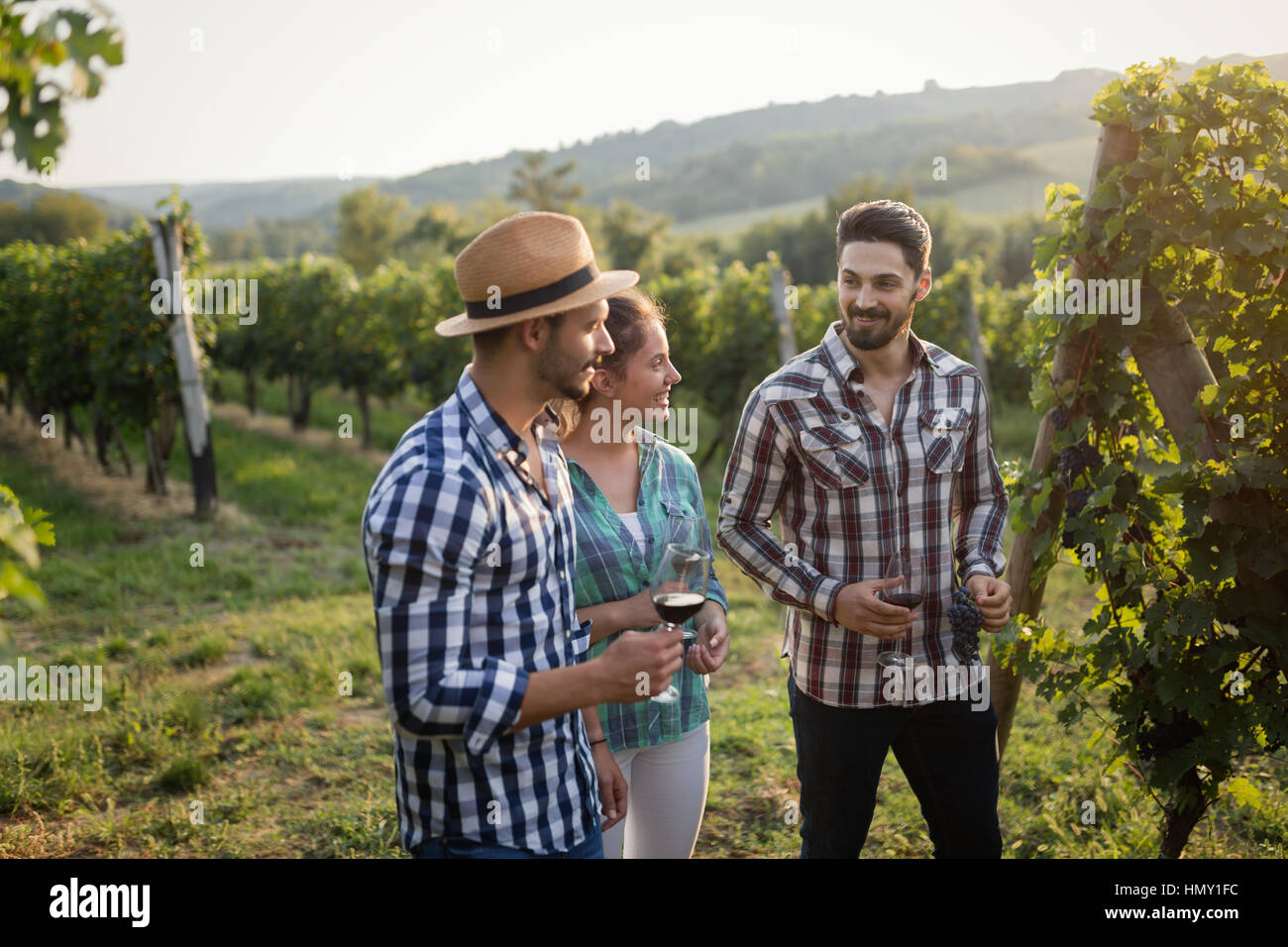 Winery wine harvest hi-res stock photography and images - Alamy