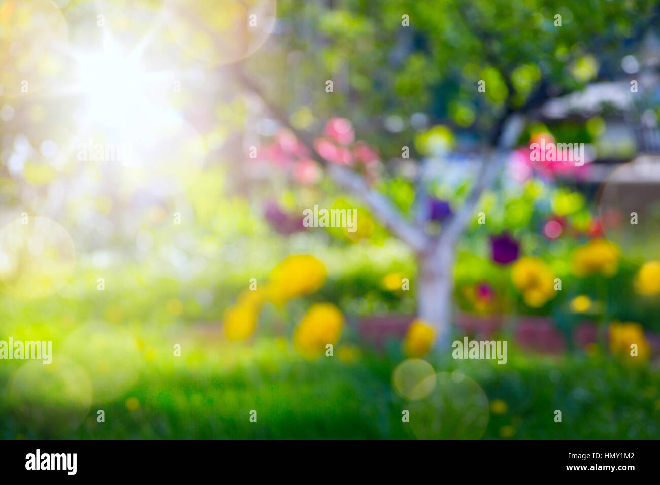 abstract spring background with fresh flower on spring garden Stock ...