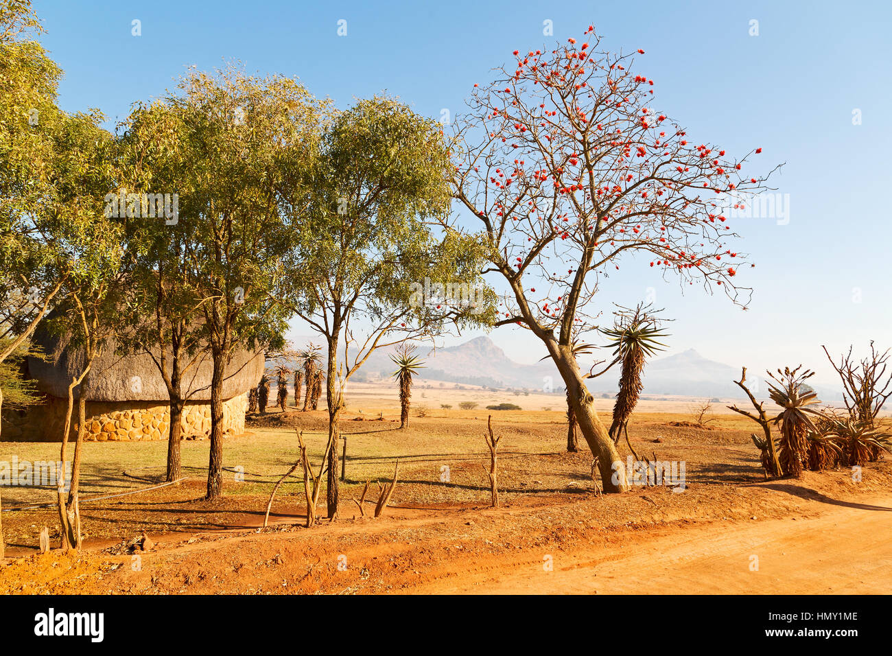 blur in swaziland mlilwane wildlife nature reserve mountain and tree ...