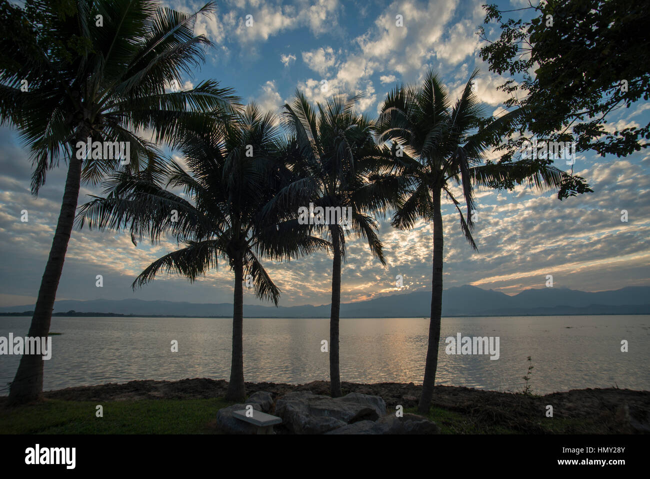the landscape at the lake of Kwan Phayao in the city of Phayao in North ...