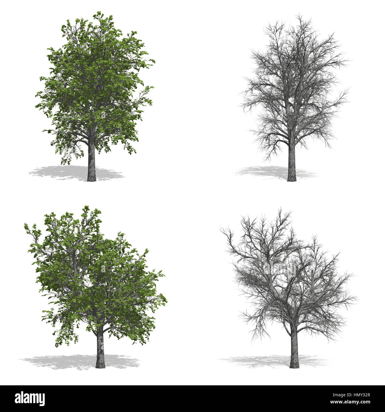 Set collection cherry trees Cut Out Stock Images & Pictures - Alamy