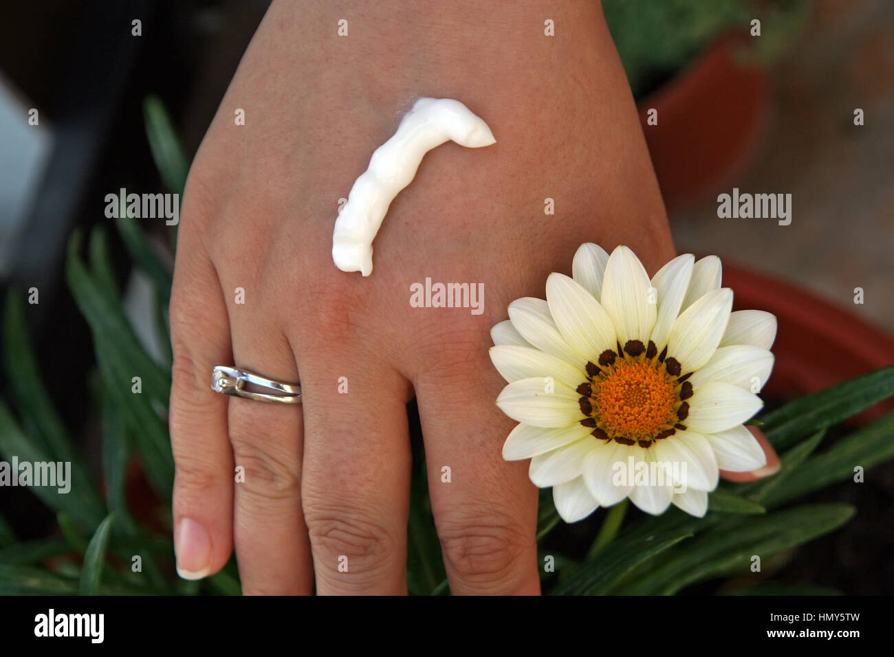 Girls hands. Hand cream and a flower Stock Photo - Alamy