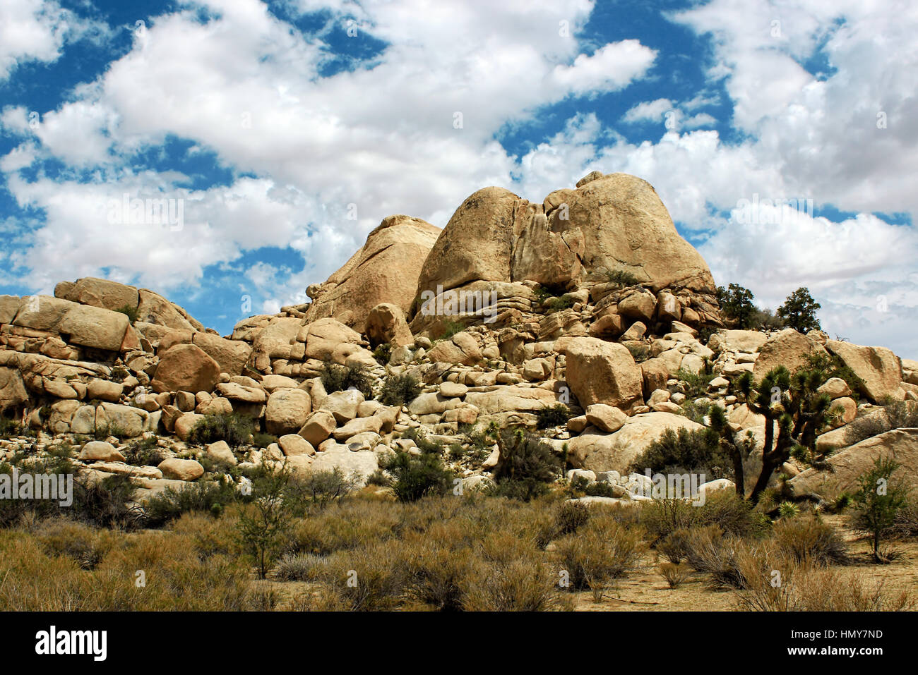 Amazing nature of the Joshua Tree National Park which is part of dry ...