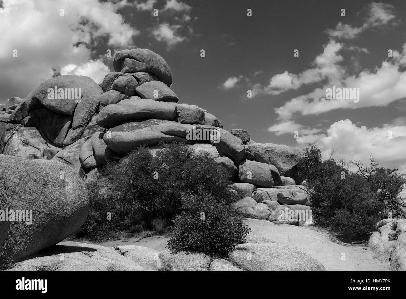 Joshua Tree National Park, Mojave Desert, California Stock Photo - Alamy