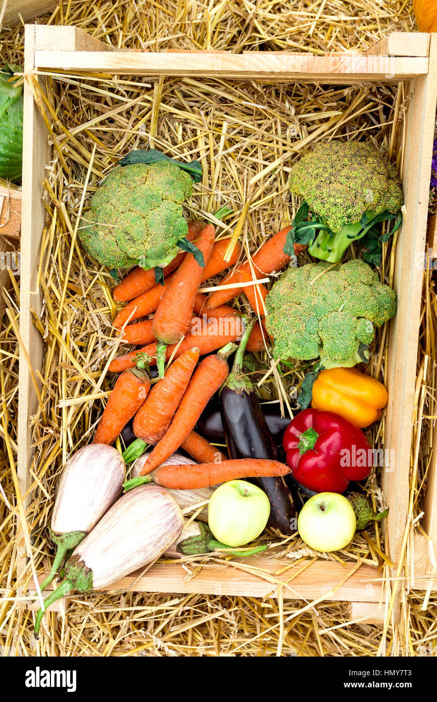Set of natural vegetable village. Set of different vegetables. Carrots ...