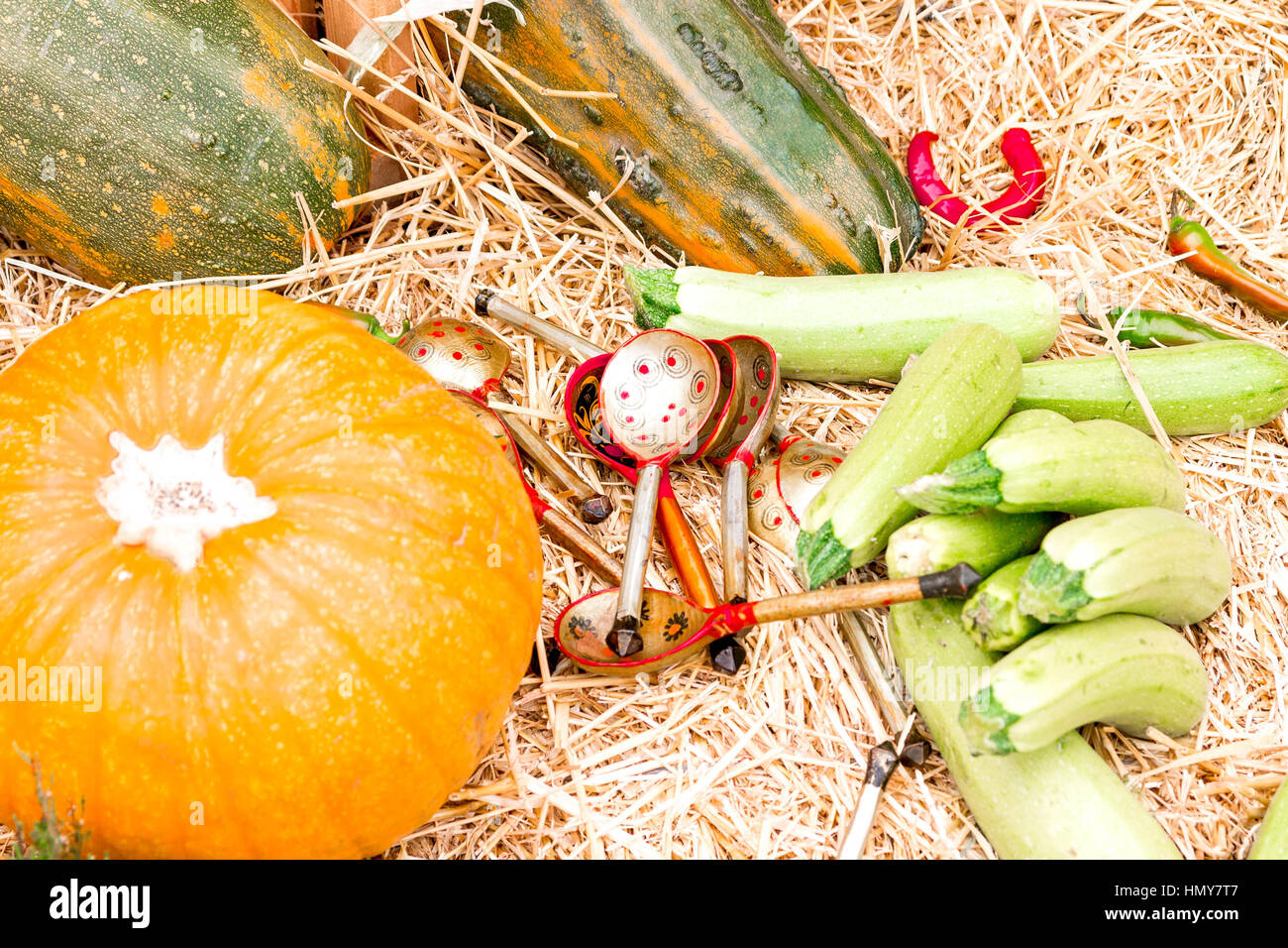 Natural vegetables on hay background. The composition of natural ...