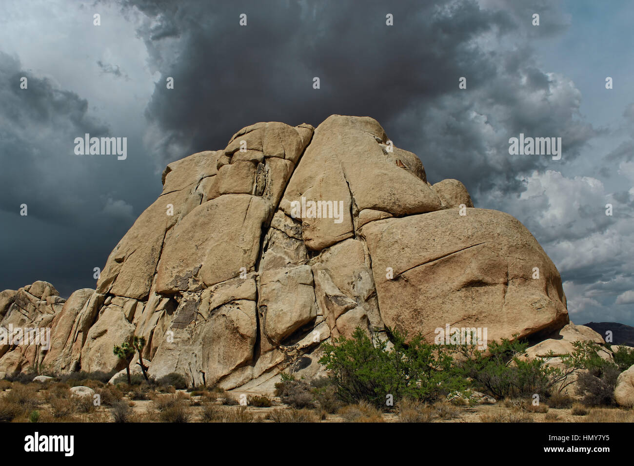 Thunderstorm in the Joshua Tree National Park, Mojave Desert ...