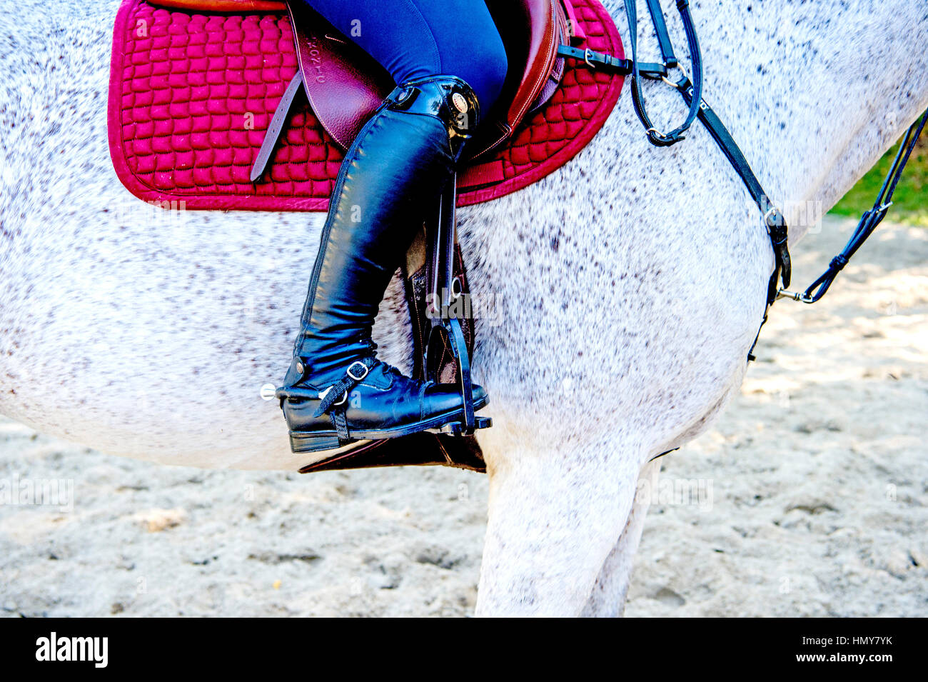 Riderboot hi-res stock photography and images - Alamy