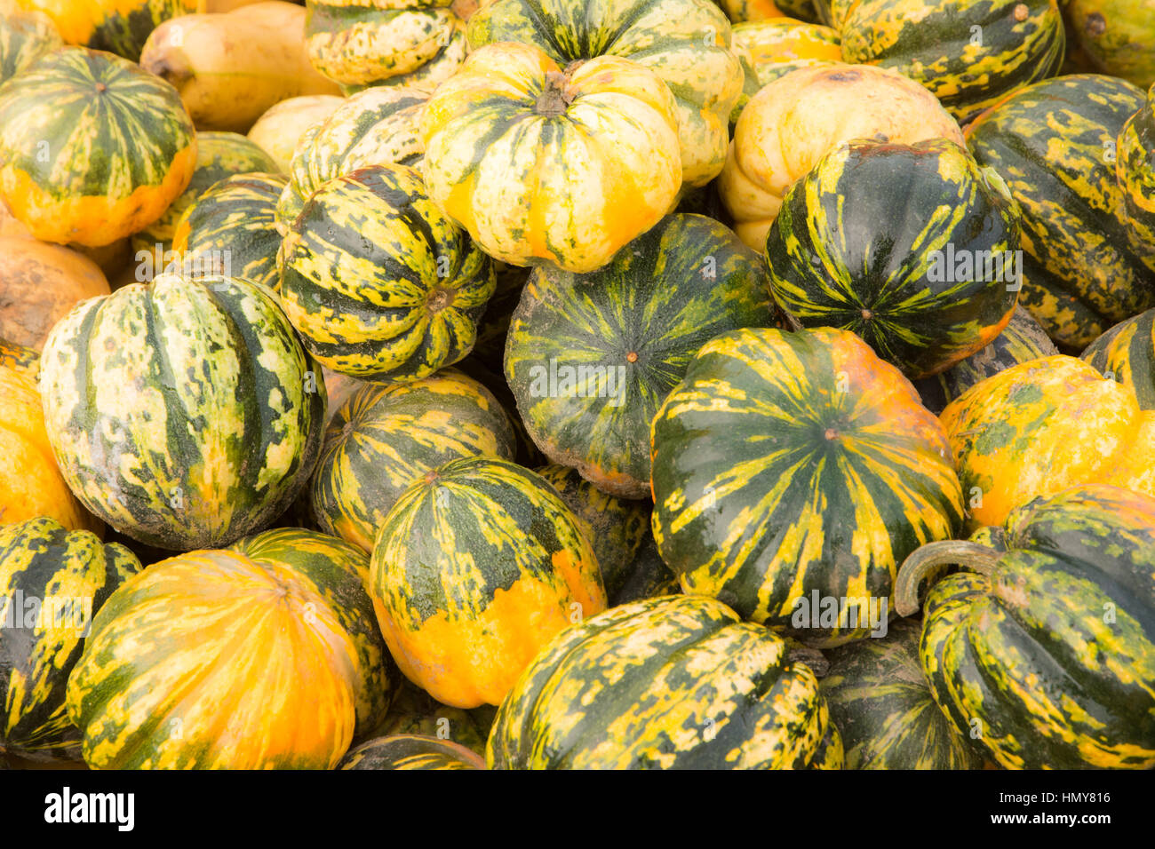 Calabash Pumpkins High Resolution Stock Photography and Images - Alamy