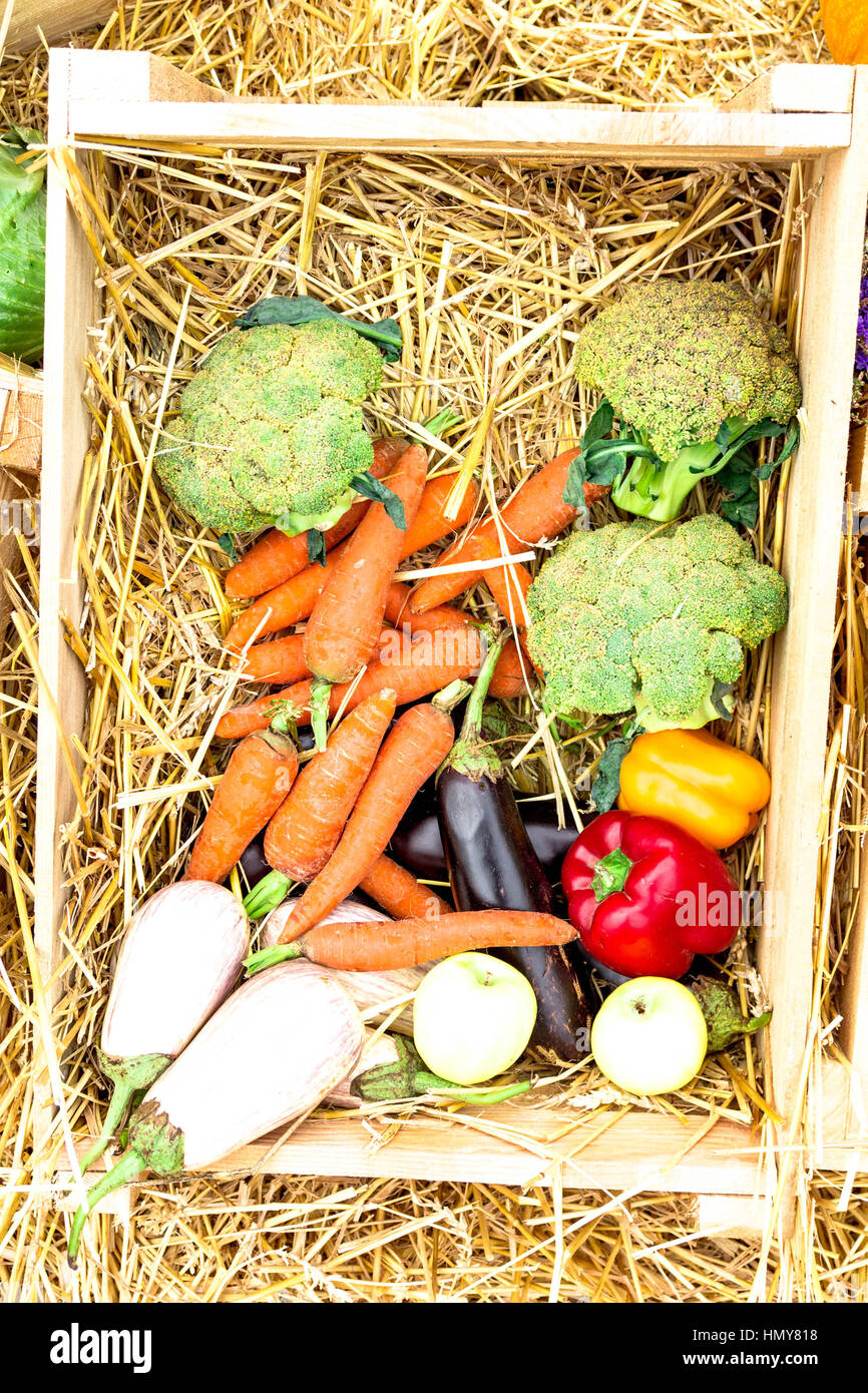 Set of natural vegetable village. Composition from vegetables Stock ...