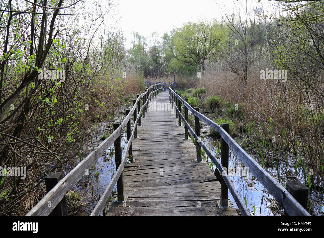 Raised board walk hi-res stock photography and images - Alamy