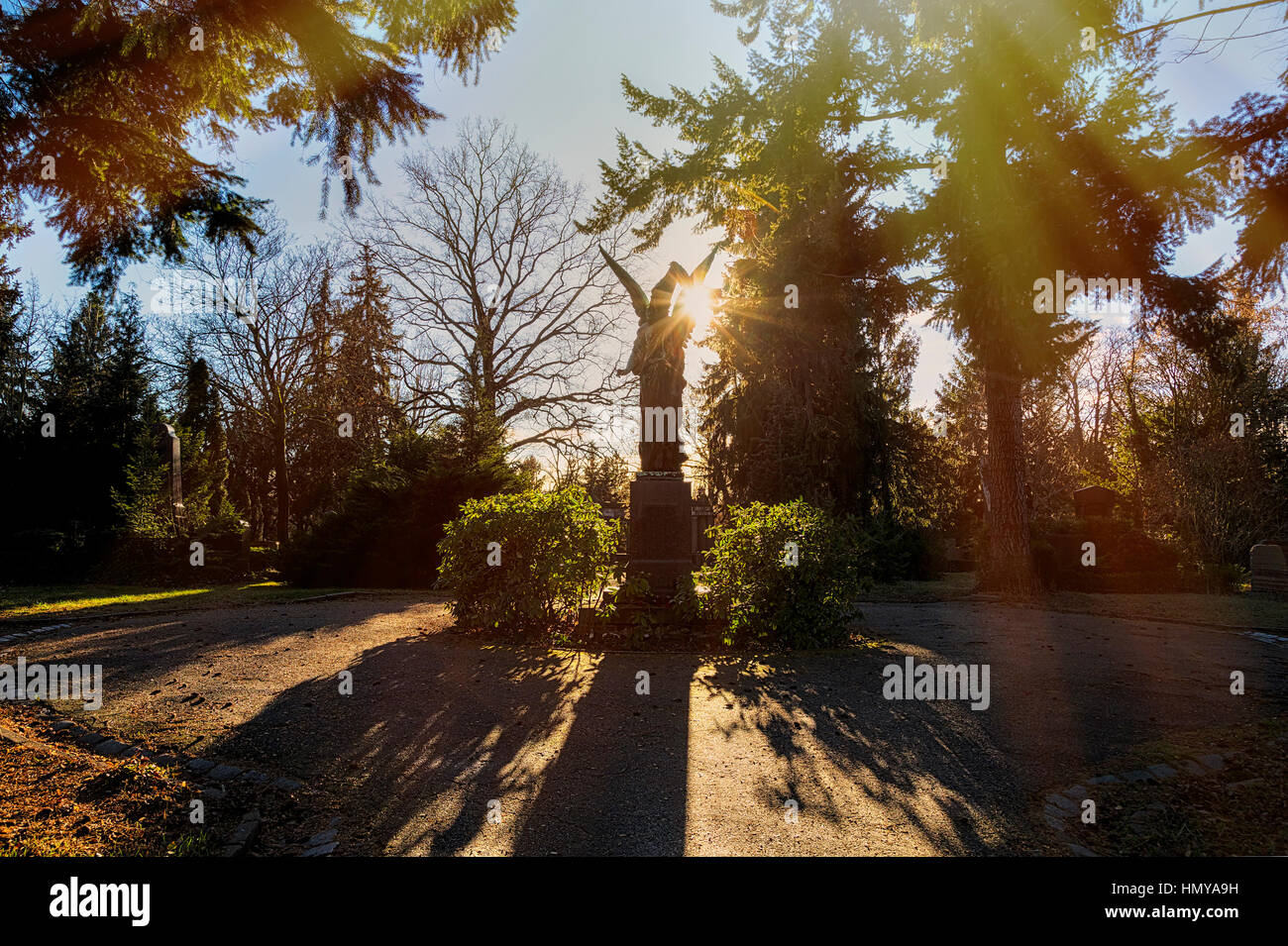 Strong backlit hi-res stock photography and images - Alamy