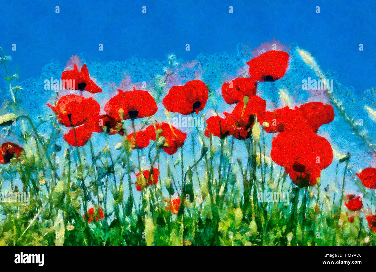 Poppy aesthetic hi-res stock photography and images - Alamy