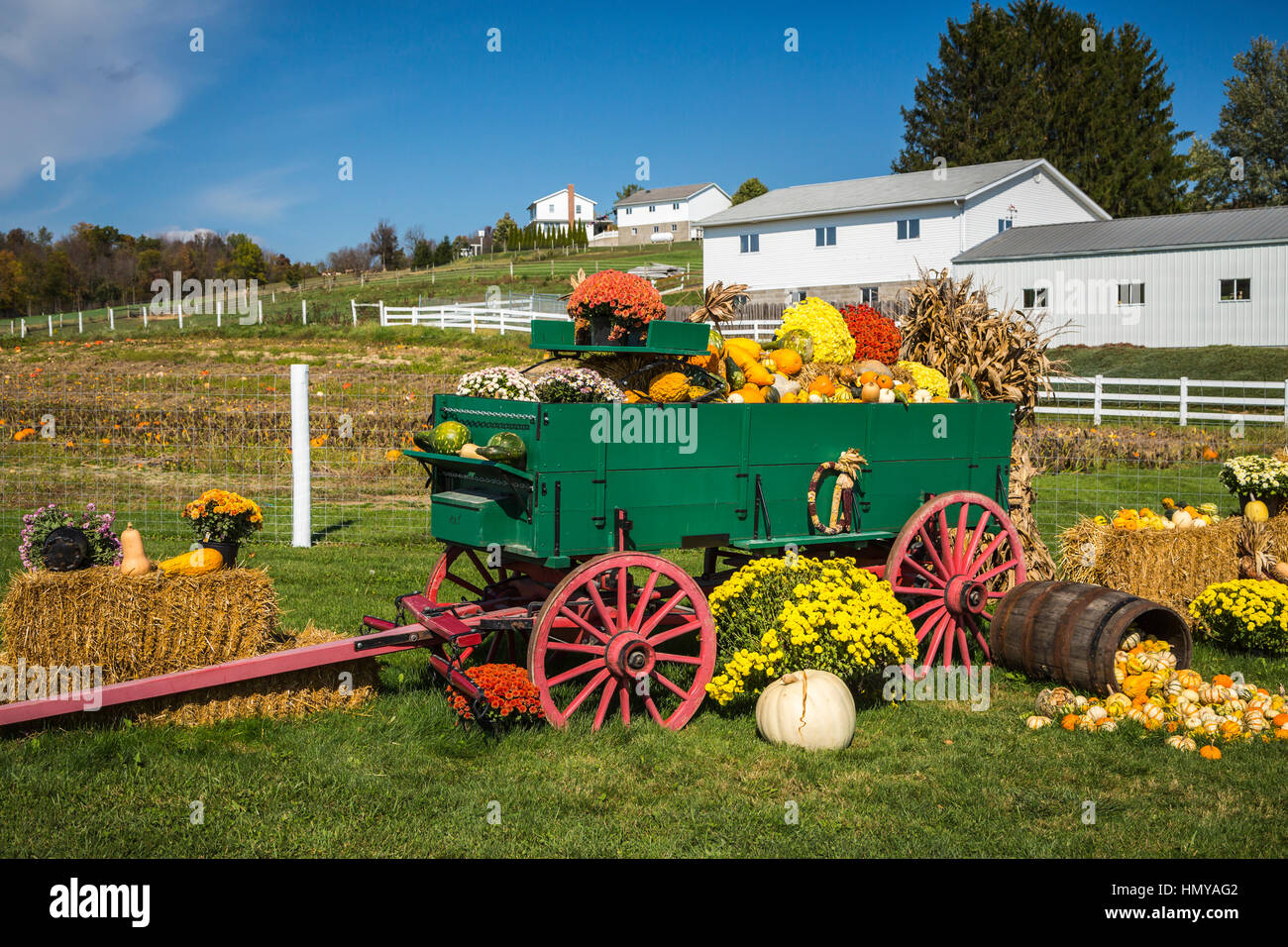 A fall farm produce display near Berlin, Ohio, USA Stock Photo - Alamy