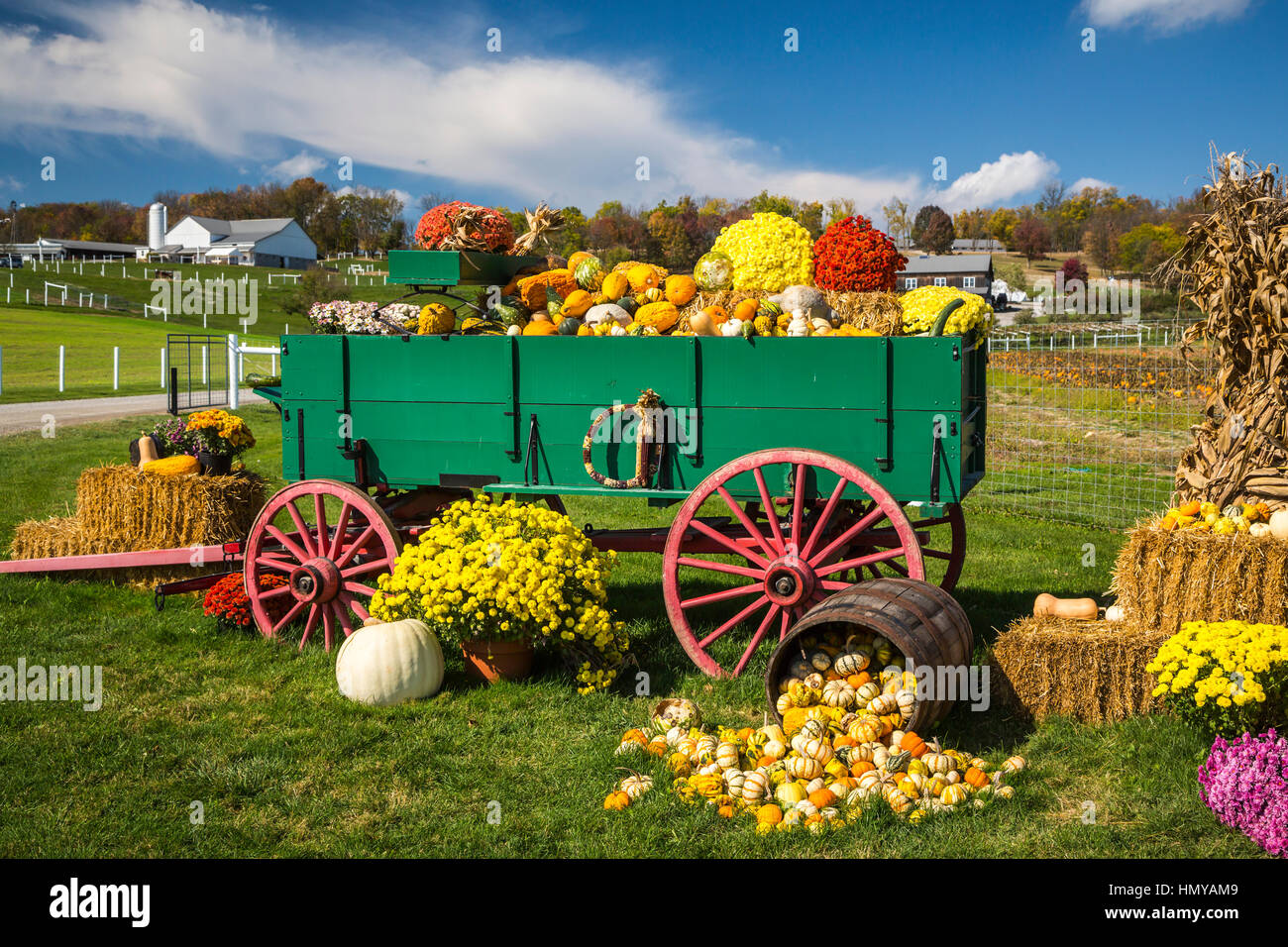 A fall farm produce display near Berlin, Ohio, USA Stock Photo - Alamy