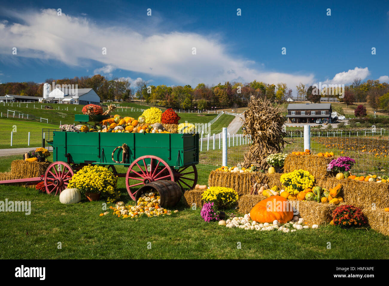 Seasonal produce display hi-res stock photography and images - Alamy