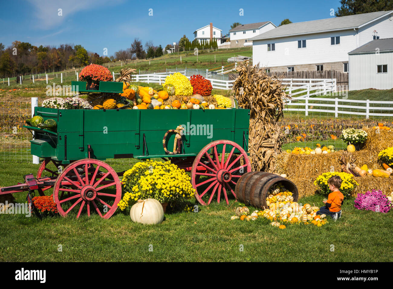 A fall farm produce display near Berlin, Ohio, USA Stock Photo - Alamy