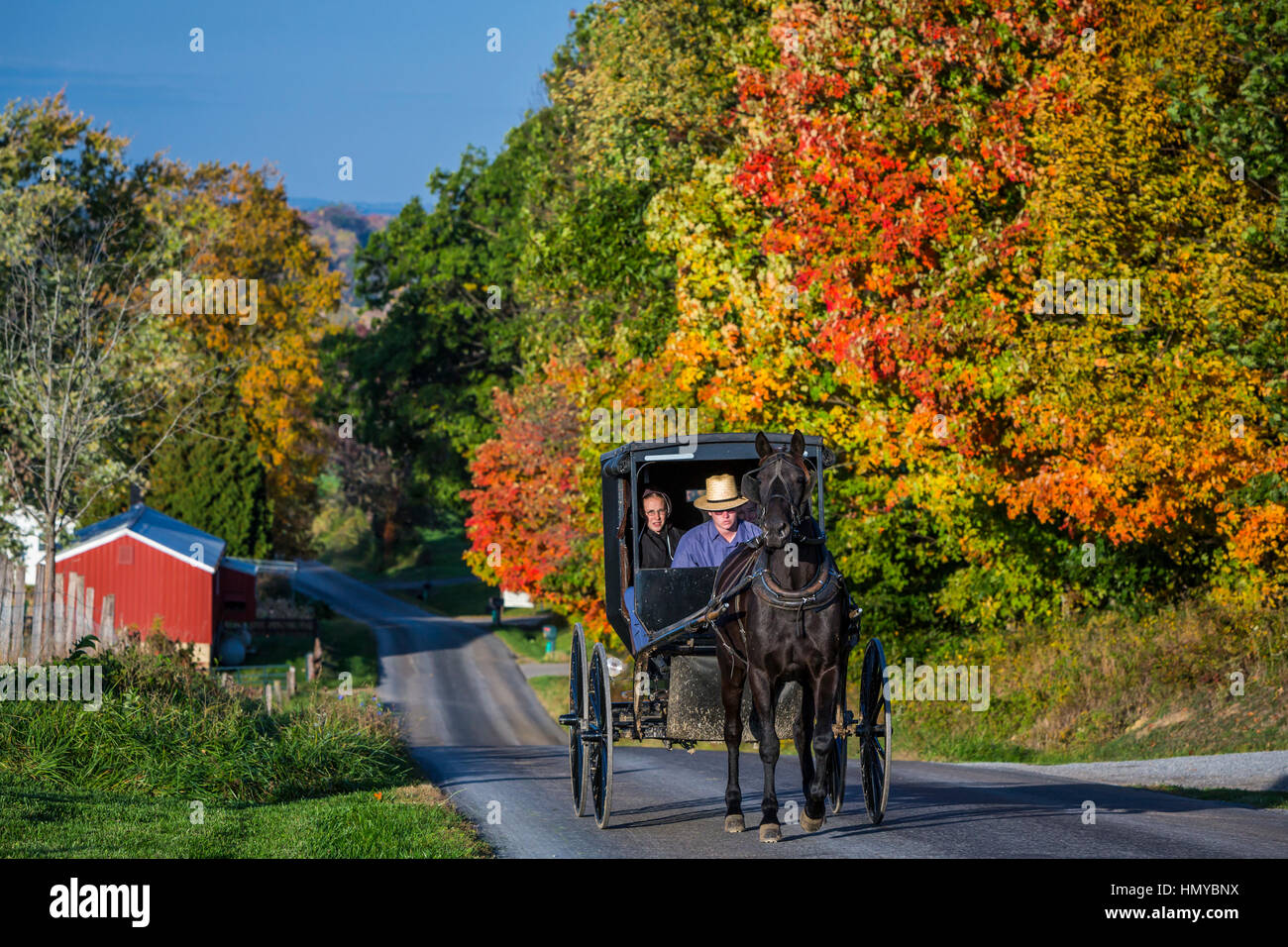 Amish horse buggy fall foliage hi-res stock photography and images - Alamy