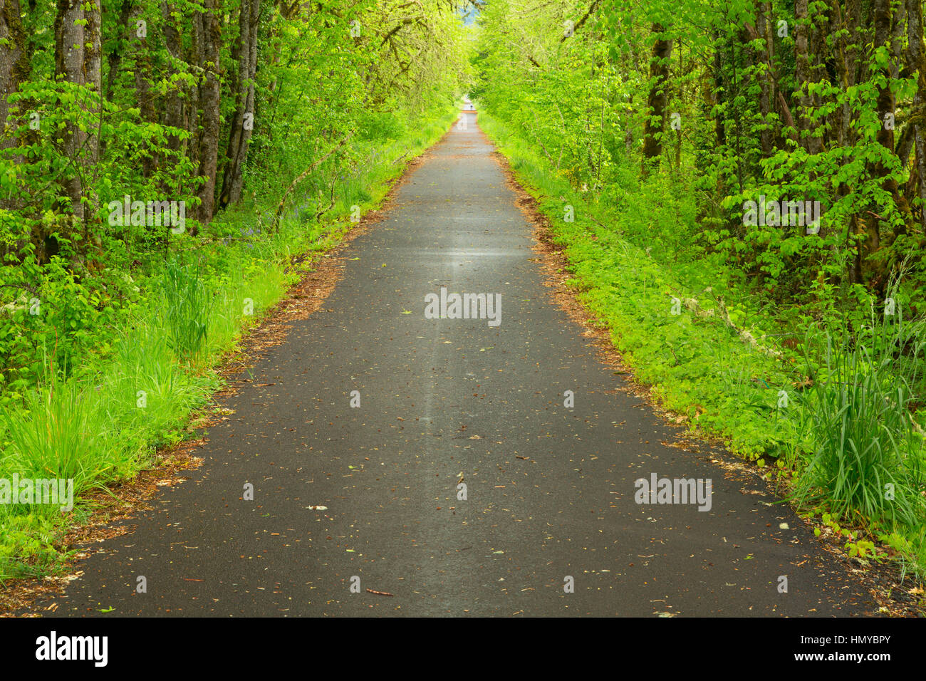 Row river hi-res stock photography and images - Alamy