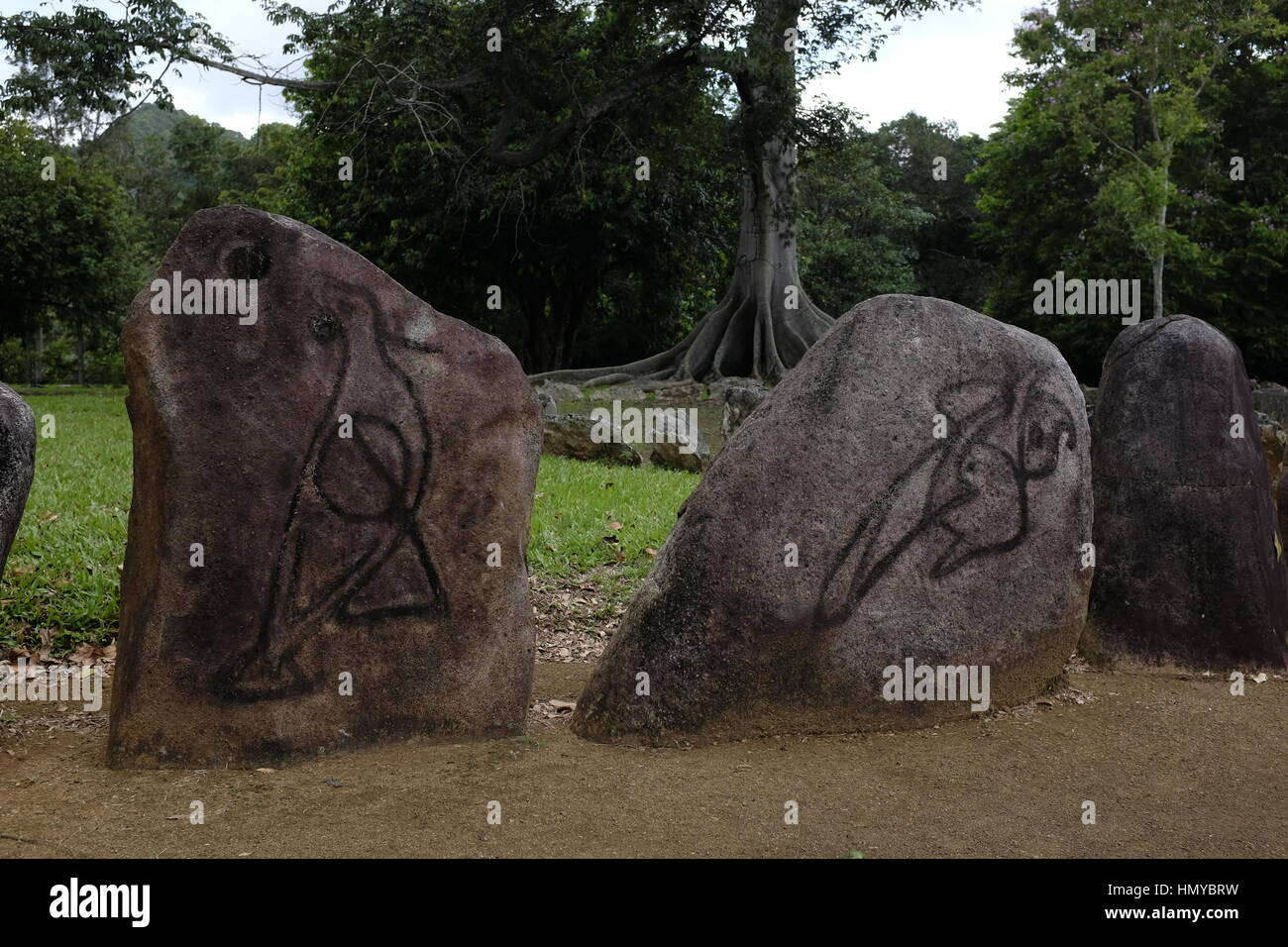 Taino petroglyphs in the town of Utuado, Puerto Rico Stock Photo - Alamy