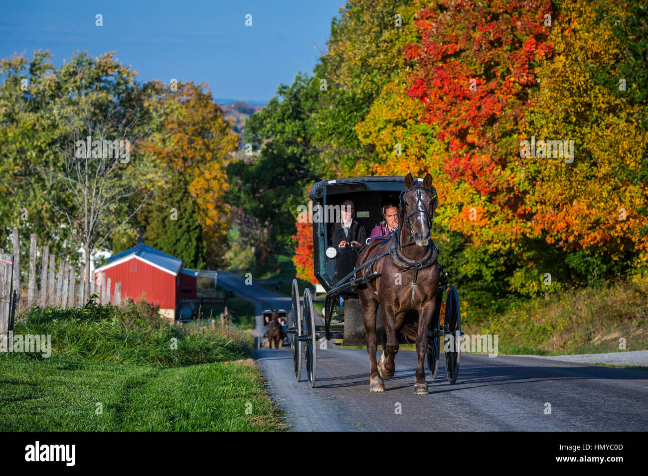 Amish horse and buggy with fall foliage color near Mt. Hope, Ohio, USA ...