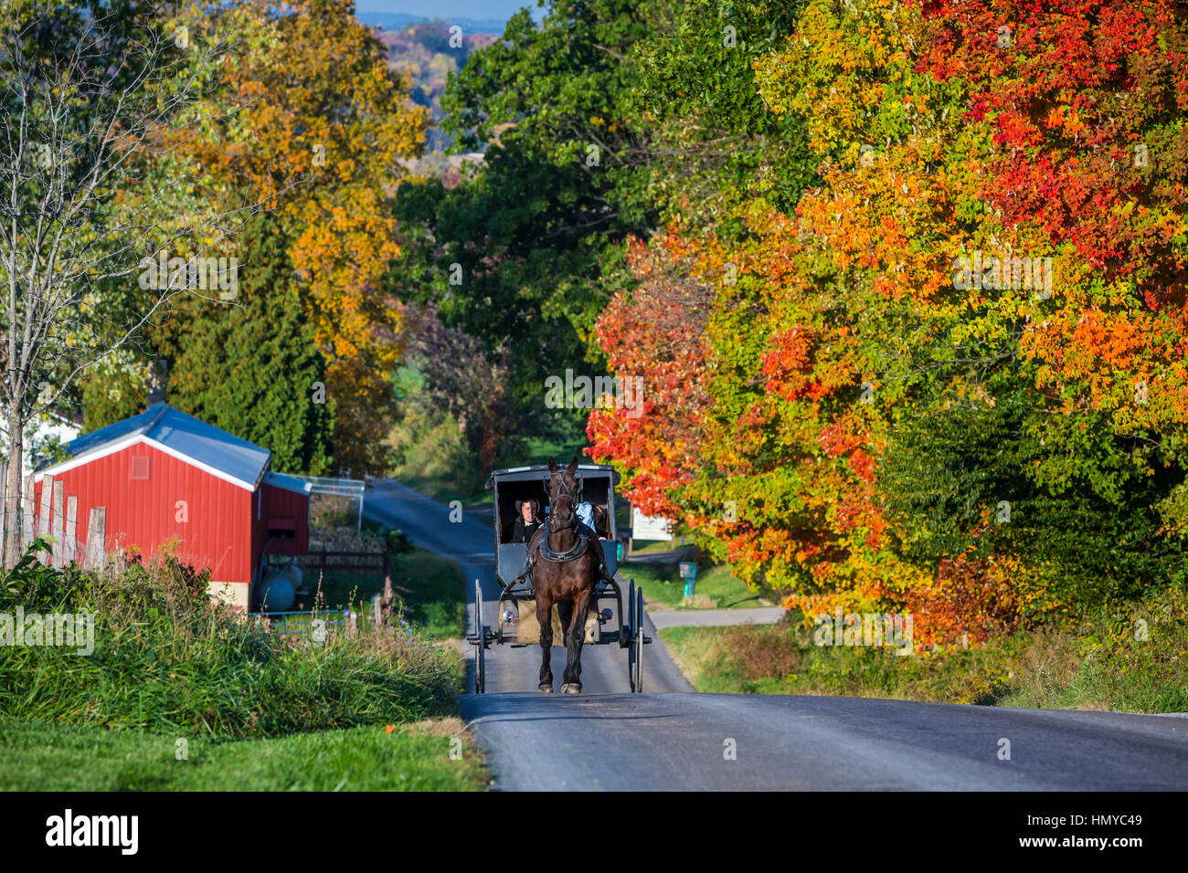Horse Drawn Amish Buggy High Resolution Stock Photography and Images ...