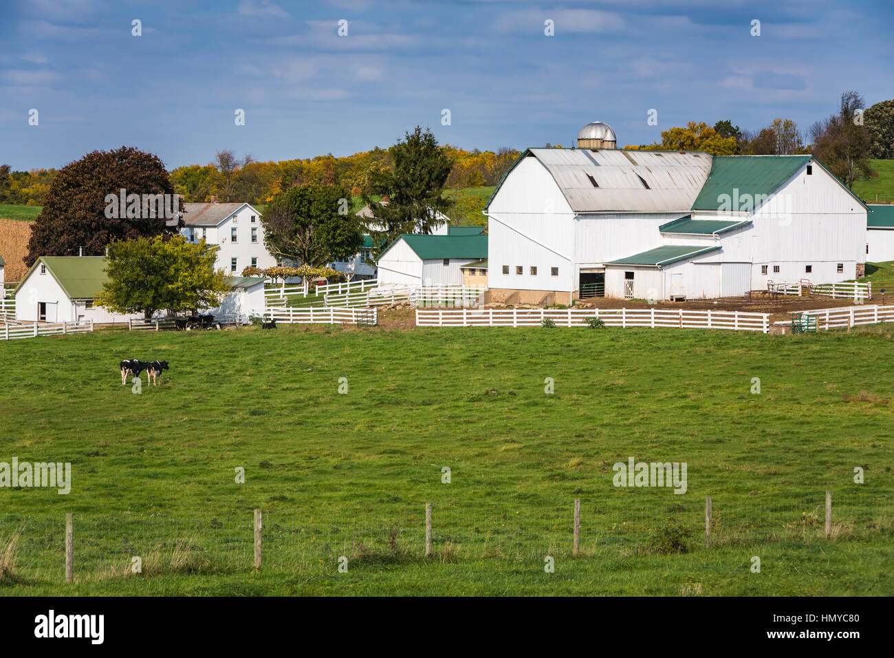 Pasture animals hi-res stock photography and images - Alamy