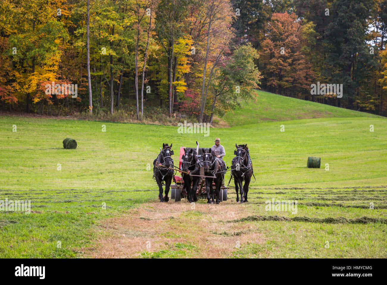 Horse drawn hay baler hi-res stock photography and images - Alamy