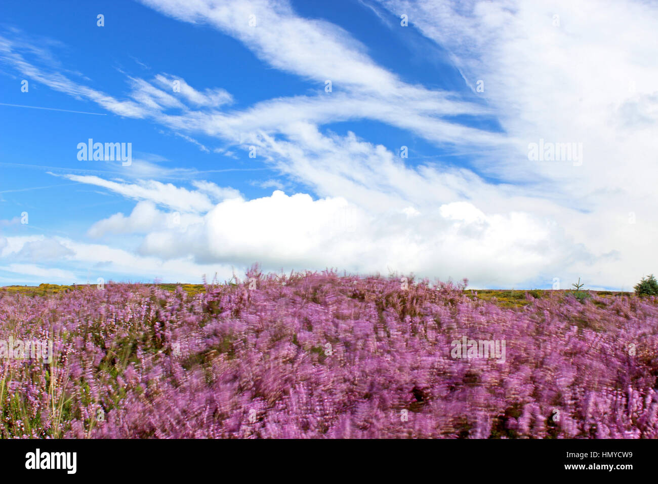 Minera landscape hi-res stock photography and images - Alamy