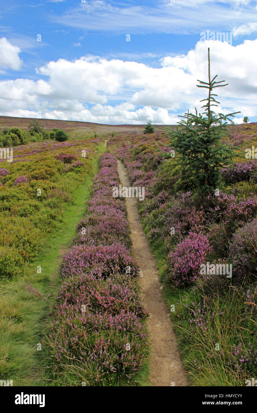 Minera Mountain Worlds End Heather Path Stock Photo - Alamy