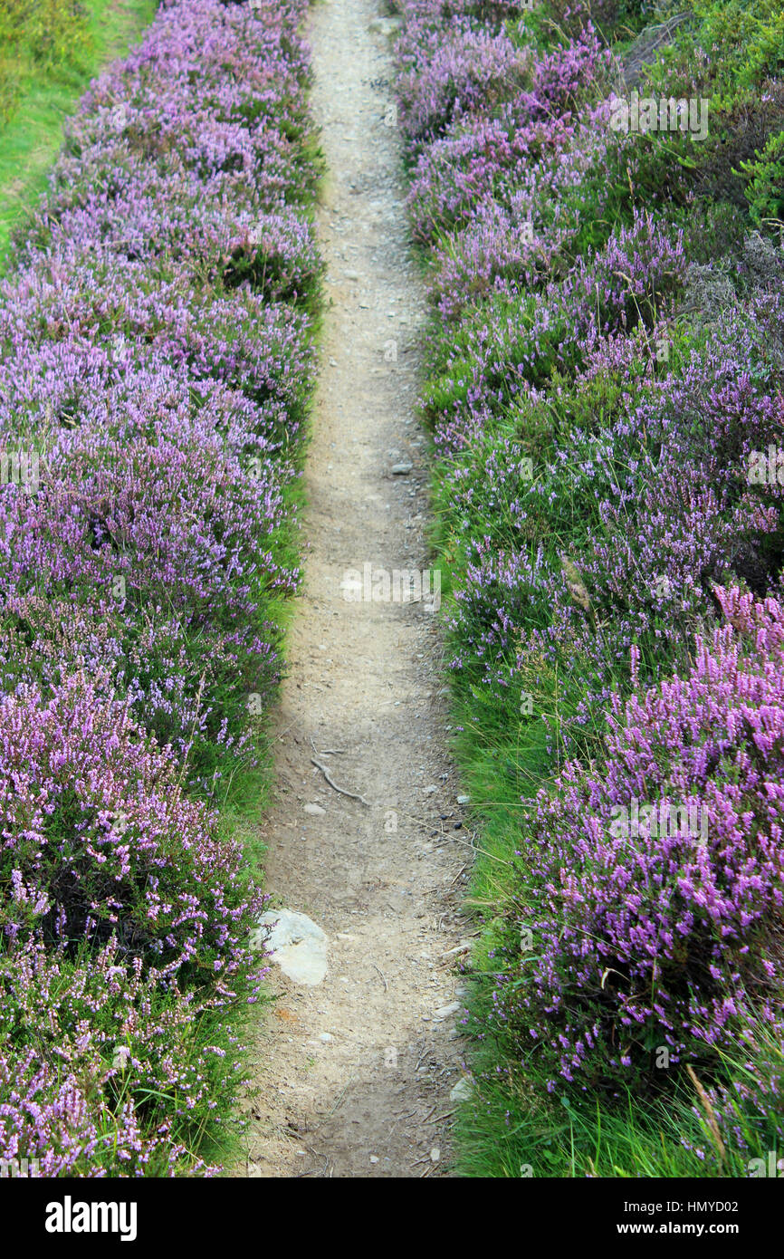 Minera mountain hi-res stock photography and images - Alamy